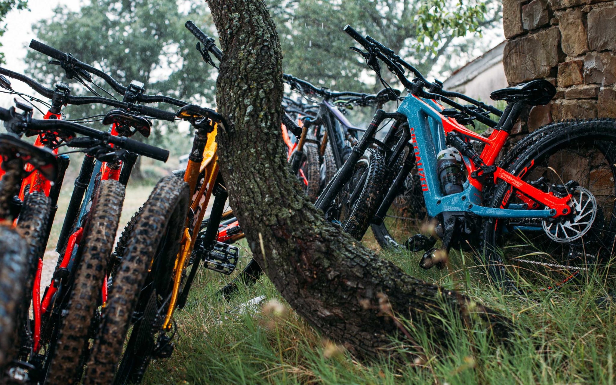 Eerste Test | Specialized Turbo Levo Expert 2019: meneer … en mevrouw ...