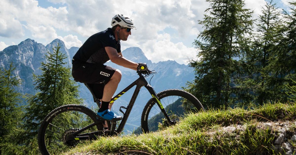 Test | Focus 01E Factory: xc-racer of trailbike? - Vojo Magazine