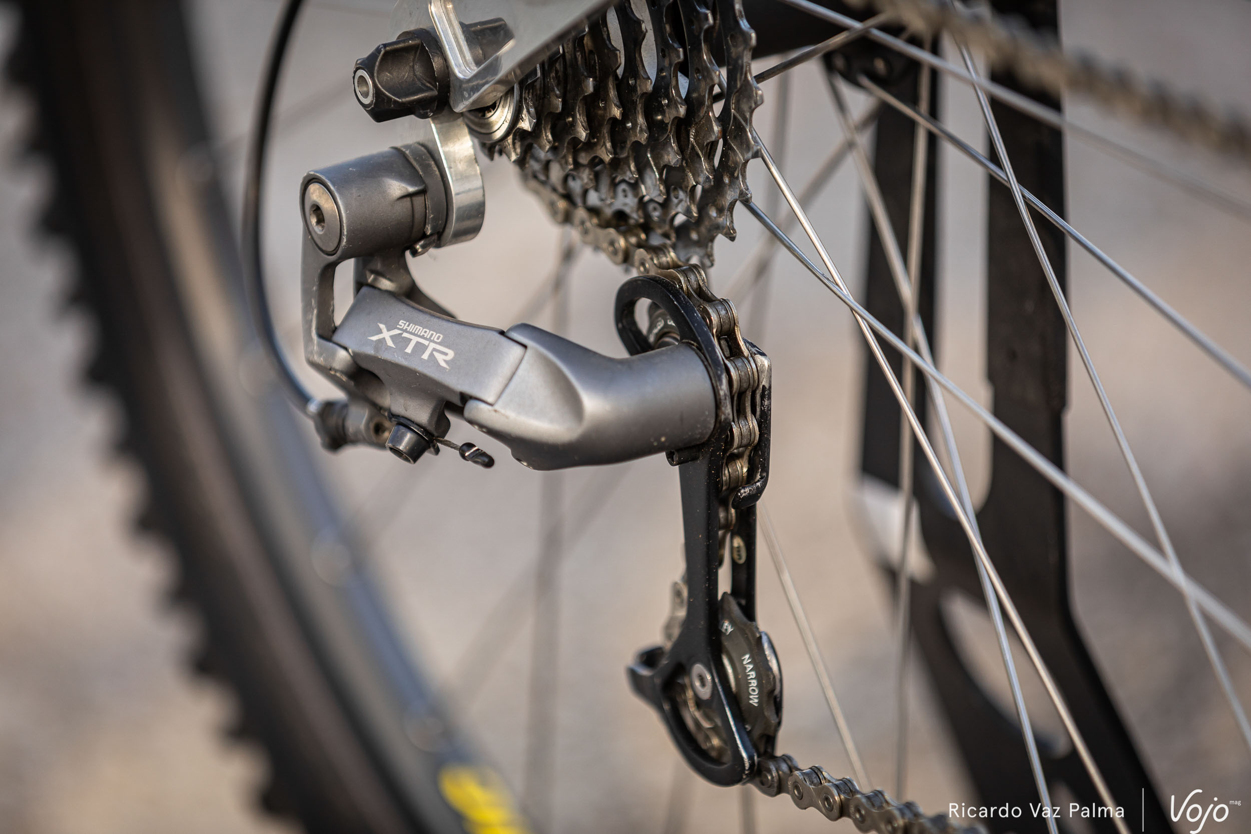 Flashback | Santa Cruz Tazmon: de eerste van een lange rij - Vojo Magazine