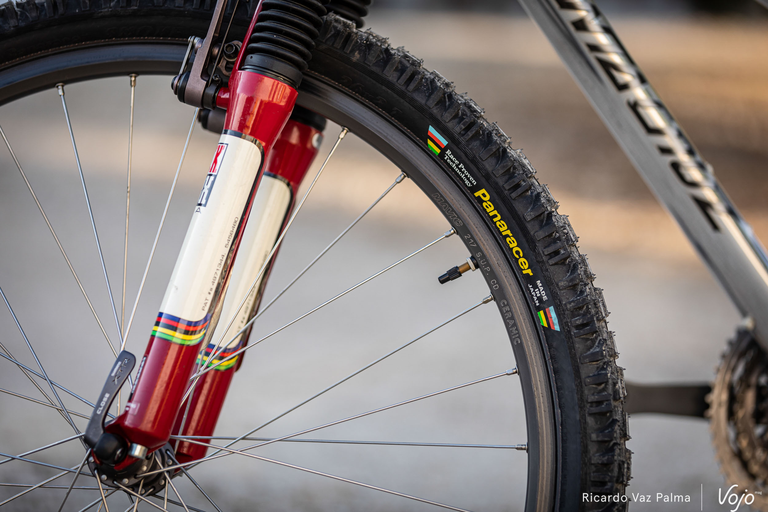 Flashback | Santa Cruz Tazmon: de eerste van een lange rij - Vojo Magazine