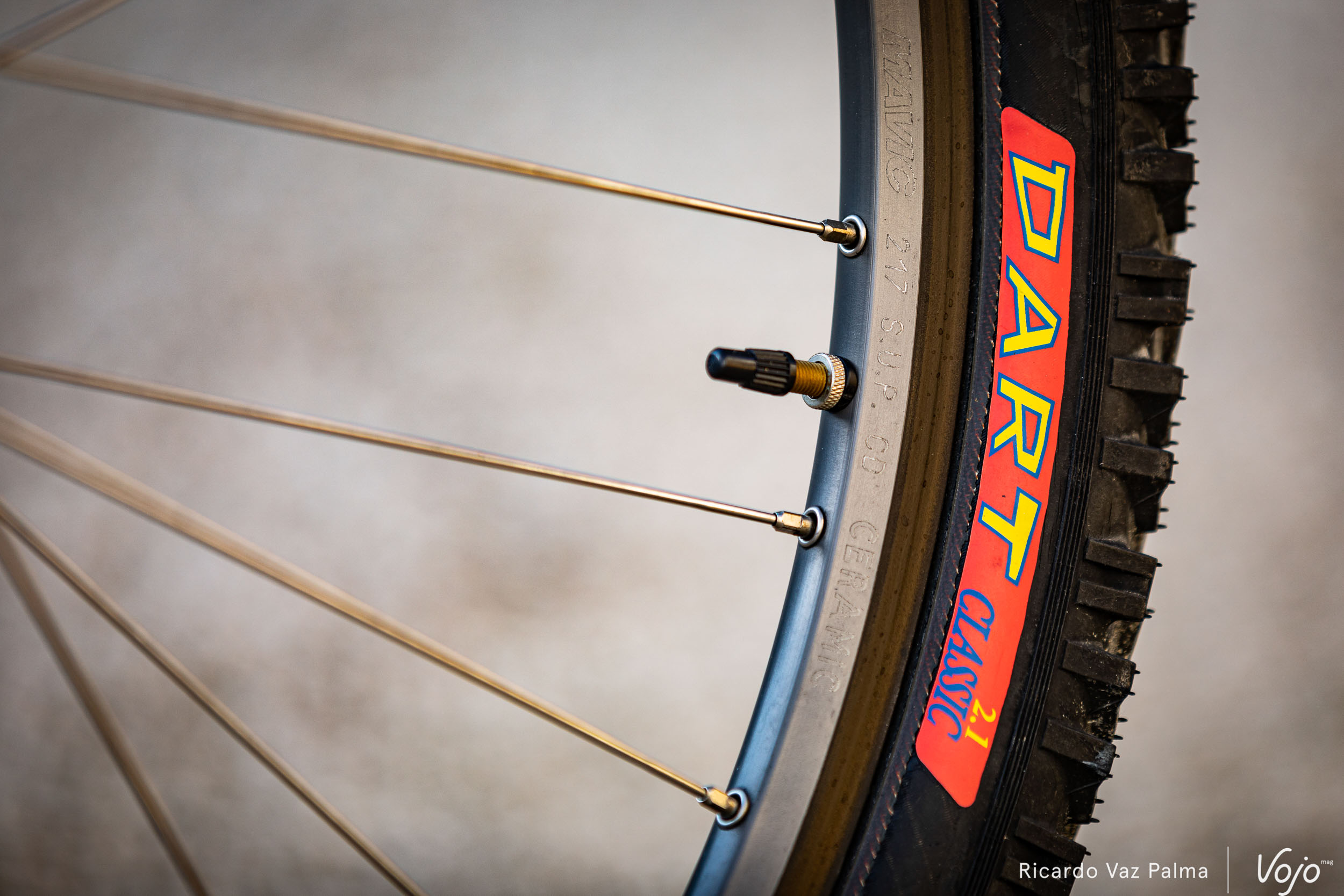 Flashback | Santa Cruz Tazmon: de eerste van een lange rij - Vojo Magazine