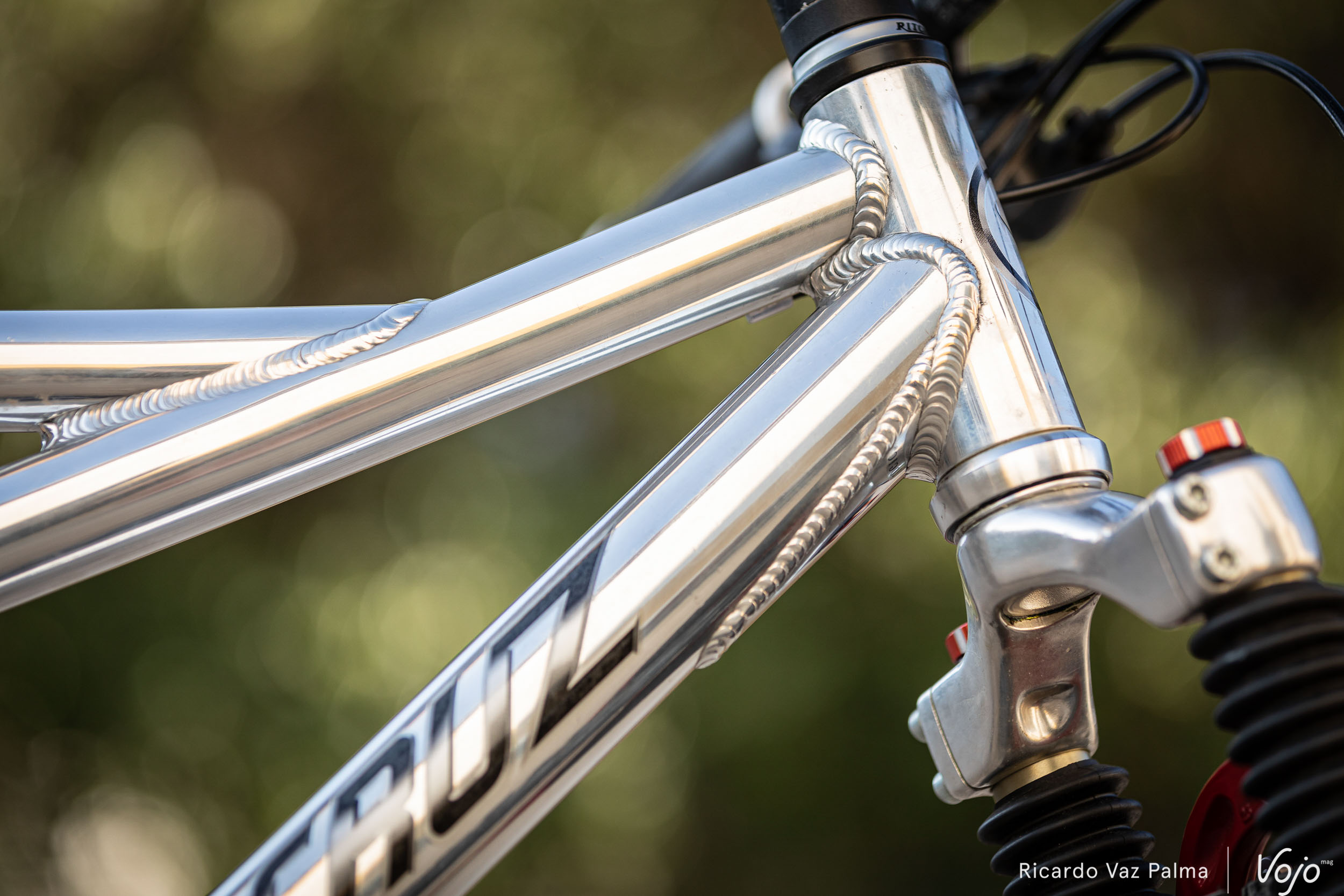 Flashback | Santa Cruz Tazmon: de eerste van een lange rij - Vojo Magazine