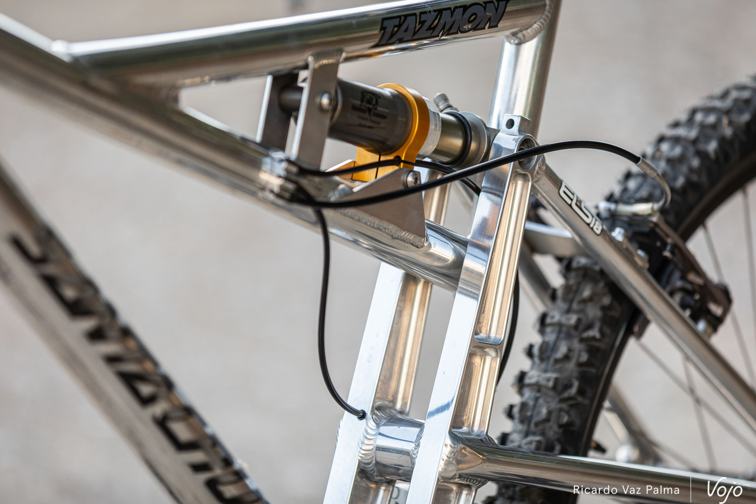 Flashback | Santa Cruz Tazmon: de eerste van een lange rij - Vojo Magazine